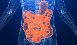 Our History – Obex