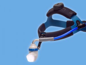 Vascular Surgery – Obex