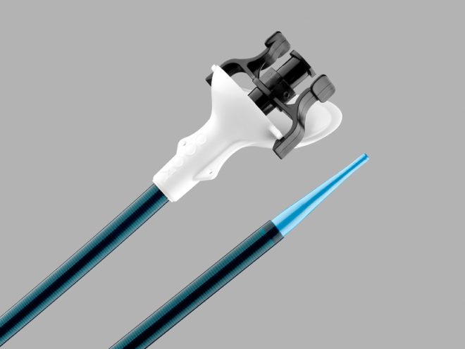 Cook® Flexor® Ureteral Access Sheath – Obex